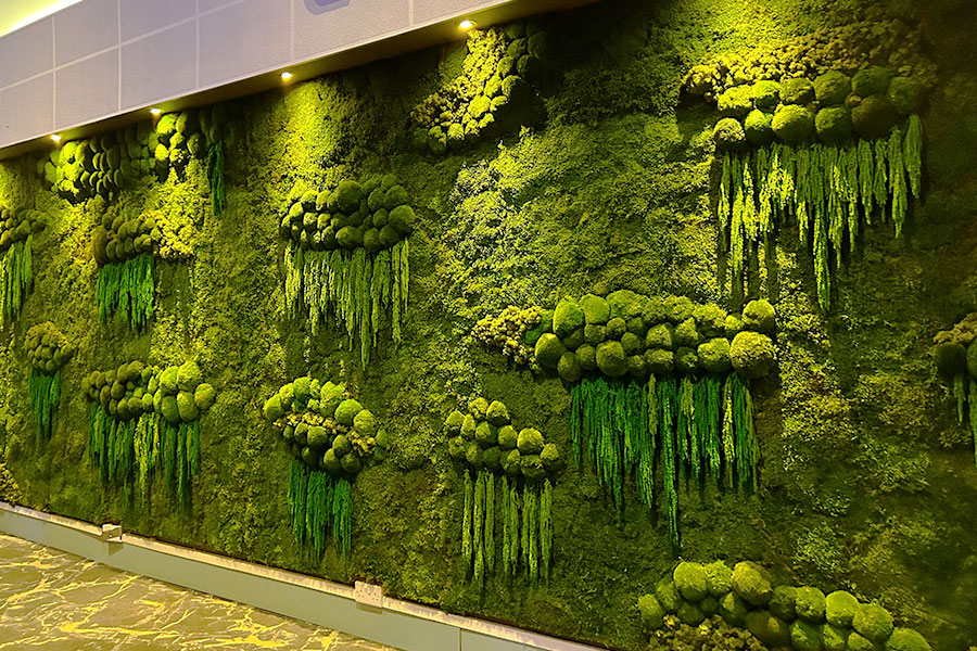 Green Walls for Workplaces & Urban Spaces | Planted Wall Installations