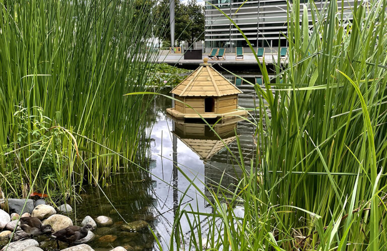 Chiswick Park Case Study | Nurture Group ESG & SustainabilityChiswick ...