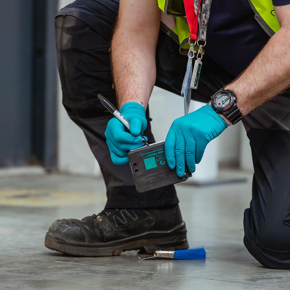 Mouse Pest Control Services | Mice Infestation Removal | Fast & Long ...