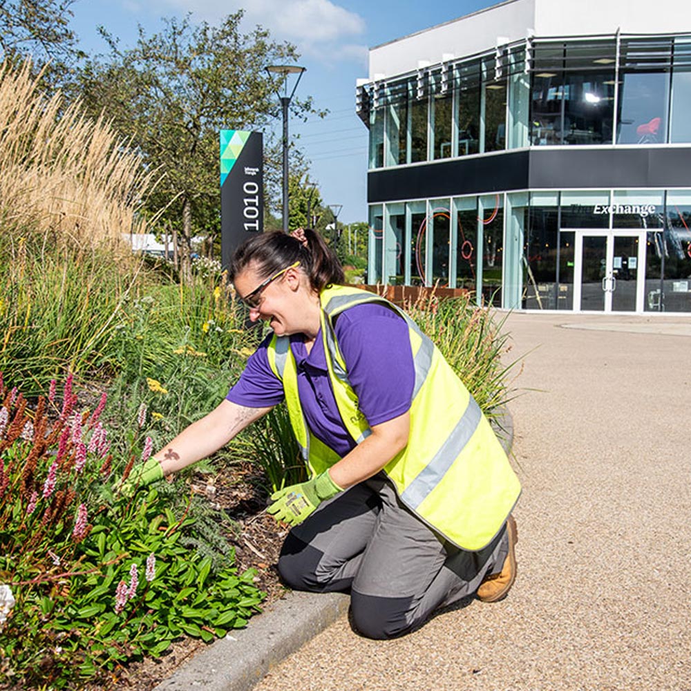 Commercial Grounds Maintenance Services | Full-Service UK Coverage