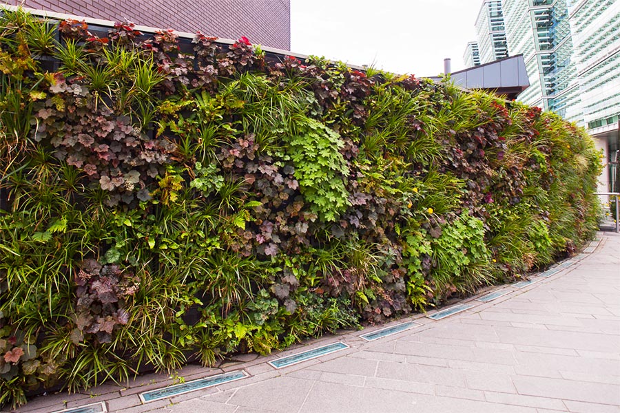 Living Plant Walls | Indoor & Outdoor Living Wall Installation for ...